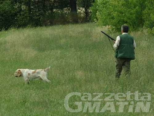 Caccia Valle d'Aosta: debutta domani, 11 settembre, la stagione venatoria