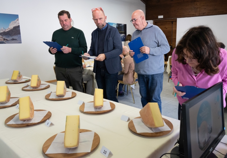 Concorso Modon d'Or: ecco le 5 migliori Fontine d'alpeggio