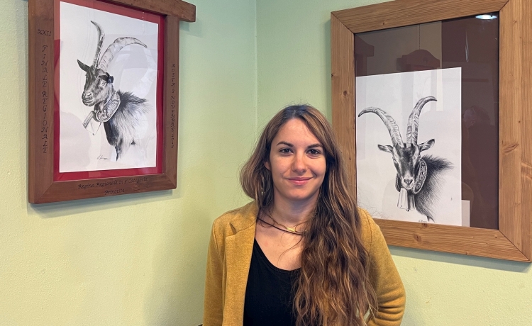 Chèvres, batailles e paesaggi di montagna nei dipinti di Noemi Biason