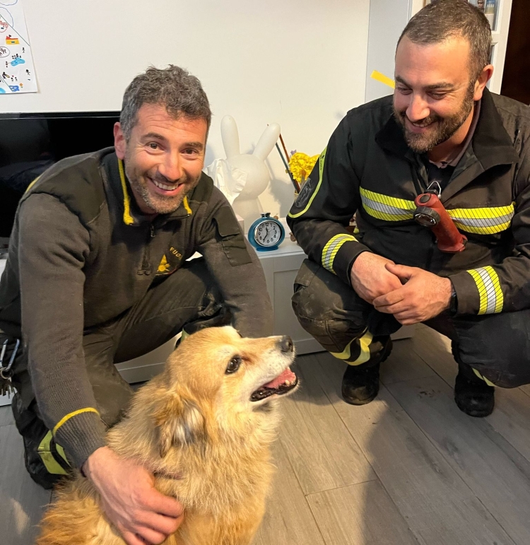 Vigili del fuoco salvano un cane incastrato in un tubo a Saint-Vincent