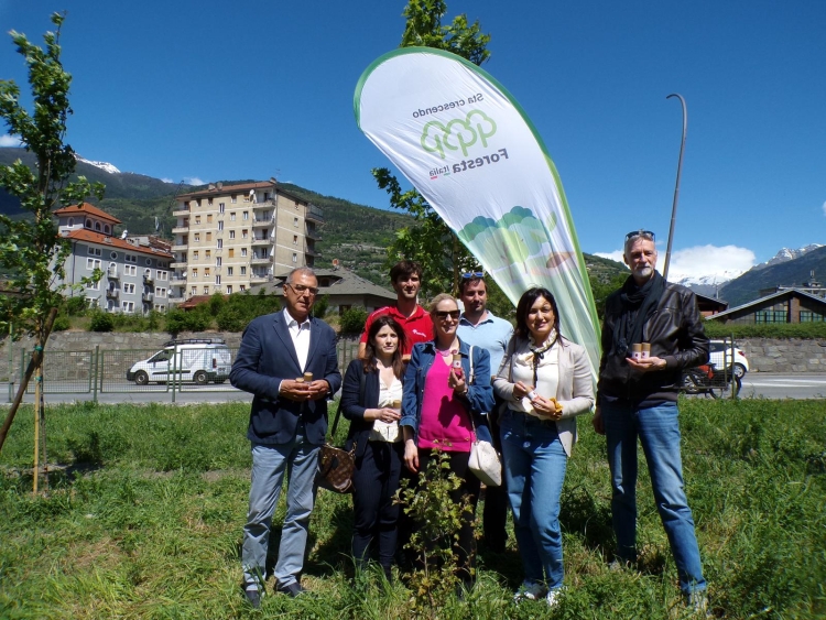Aosta, nuova area verde in via Paravera: ecco 1.250 piante
