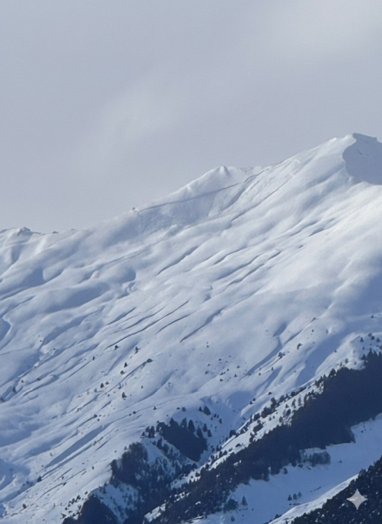 Valanga a Punta Leysser: morto uno scialpinista