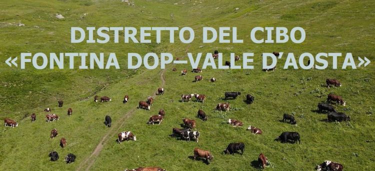 Alimentare: nasce il Distretto del cibo Fontina Dop Valle d’Aosta